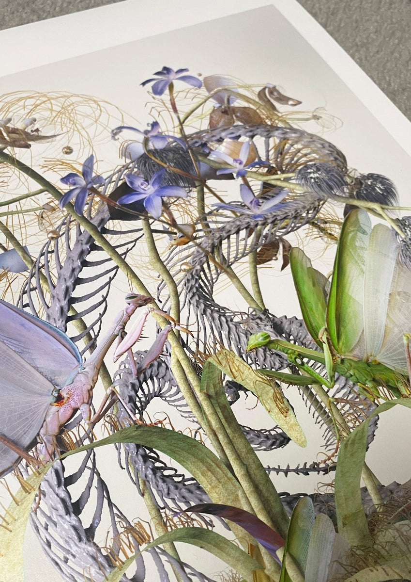 A3 Poster — Still Life 01 – Jon Emmony